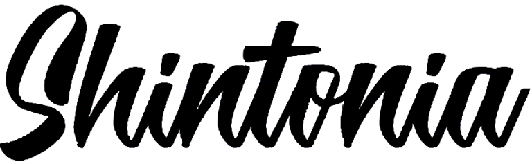 Shintonia font style - Dafont Style