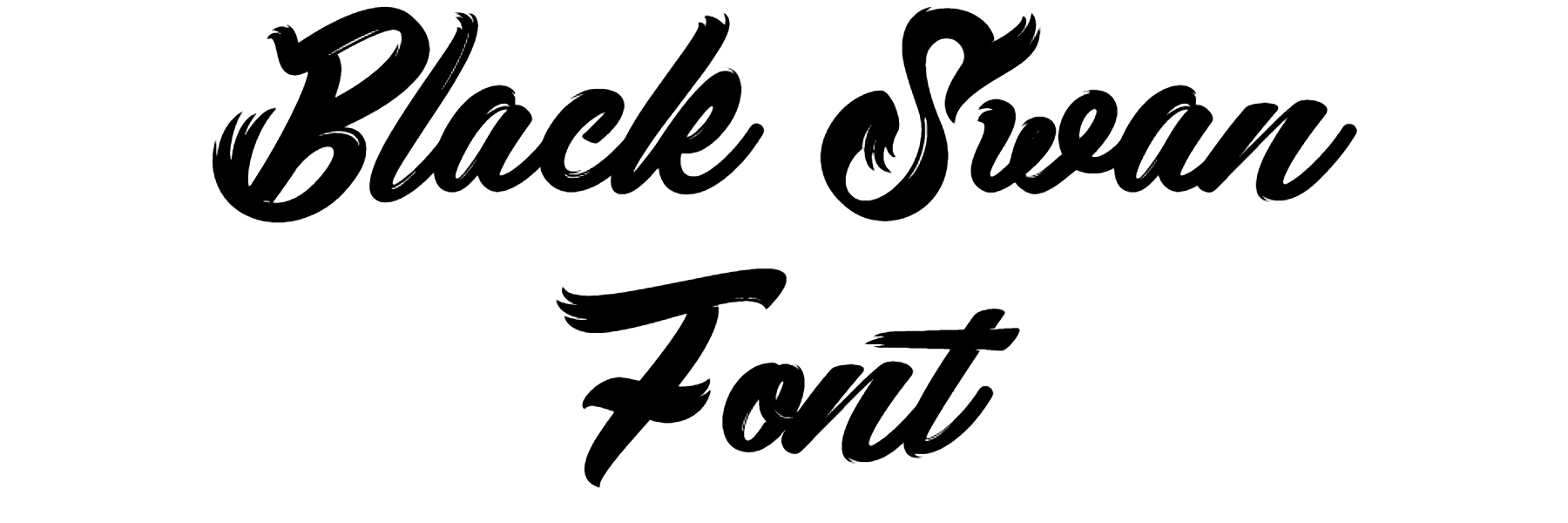 Black Swan Font - Dafont Style