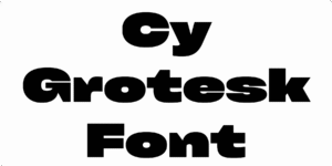 Cy Grotesk Font - Dafont Style